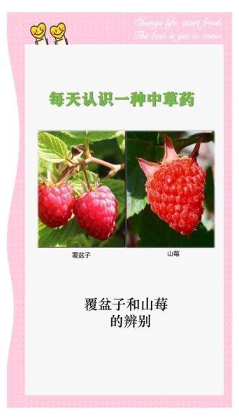 野生覆盆子图片_如何辨别真假野生覆盆子-第2张图片-山城妙识