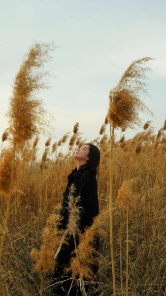 芦苇图片怎么拍好看_芦苇适合什么季节拍摄-第3张图片-山城妙识 芦苇图片怎么拍好看_芦苇适合什么季节拍摄-第3张图片-山城妙识