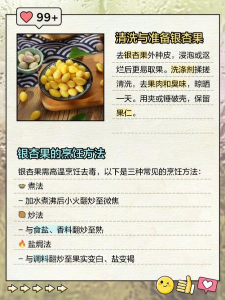 银杏树果实怎么处理才能吃_银杏果去毒方法-第1张图片-山城妙识 银杏树果实怎么处理才能吃_银杏果去毒方法-第1张图片-山城妙识