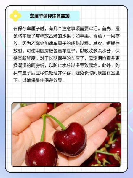 车厘子怎么保存_车厘子能放多久-第1张图片-山城妙识 车厘子怎么保存_车厘子能放多久-第1张图片-山城妙识