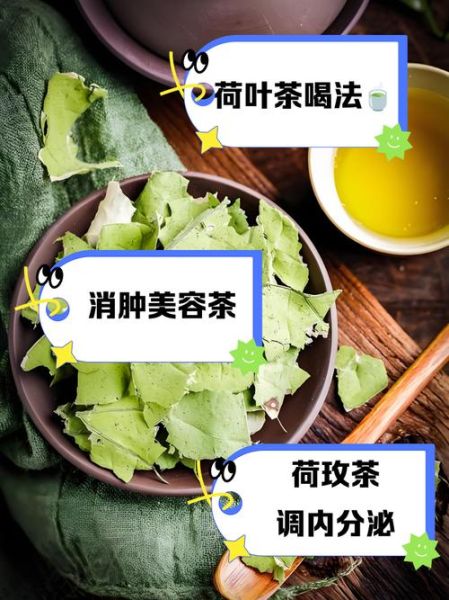 110斤喝荷叶茶一个月能瘦几斤_荷叶茶减肥正确喝法-第1张图片-山城妙识