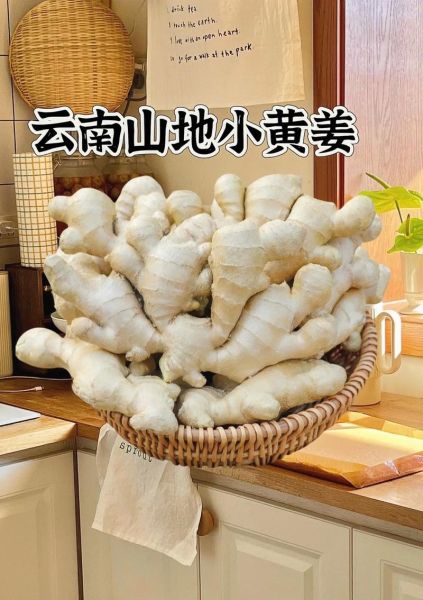 黄姜价格多少钱一斤_黄姜价格走势2024-第2张图片-山城妙识