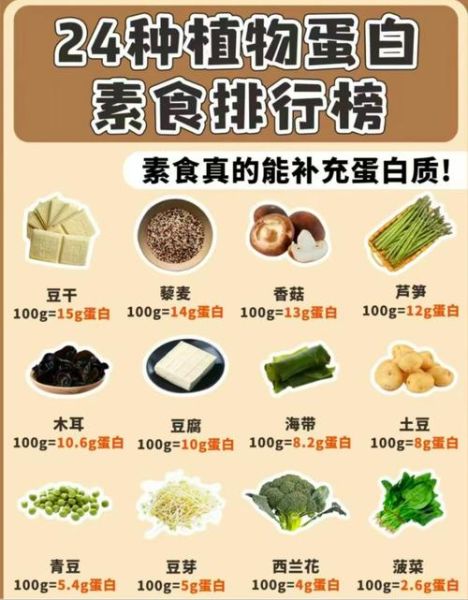 最营养的素食谱有哪些_素食如何补充蛋白质-第2张图片-山城妙识