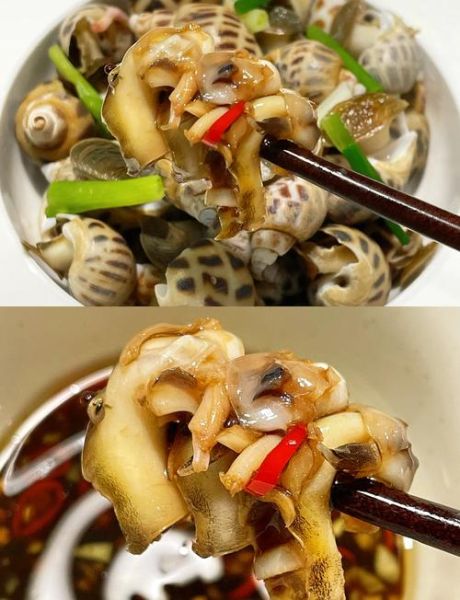 白灼海螺怎么做_海螺焯水几分钟-第3张图片-山城妙识 白灼海螺怎么做_海螺焯水几分钟-第3张图片-山城妙识