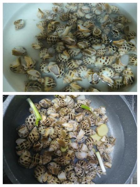 白灼海螺怎么做_海螺焯水几分钟-第2张图片-山城妙识 白灼海螺怎么做_海螺焯水几分钟-第2张图片-山城妙识