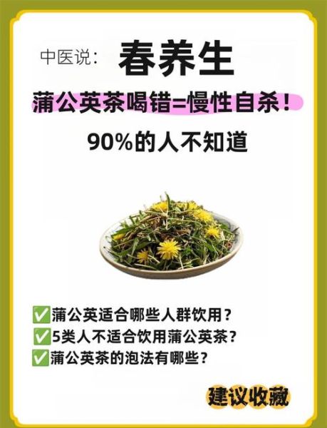 蒲公英的功效与作用禁忌_什么人不能吃-第3张图片-山城妙识