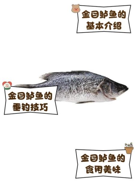 鲈鱼多少钱一斤_2021年鲈鱼市场价-第1张图片-山城妙识 鲈鱼多少钱一斤_2021年鲈鱼市场价-第1张图片-山城妙识