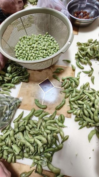 剥好的毛豆怎么做好吃_毛豆的家常做法大全-第1张图片-山城妙识