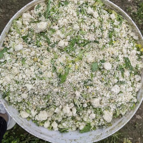 豆渣发酵后营养成分有哪些_豆渣发酵营养价值高吗-第2张图片-山城妙识