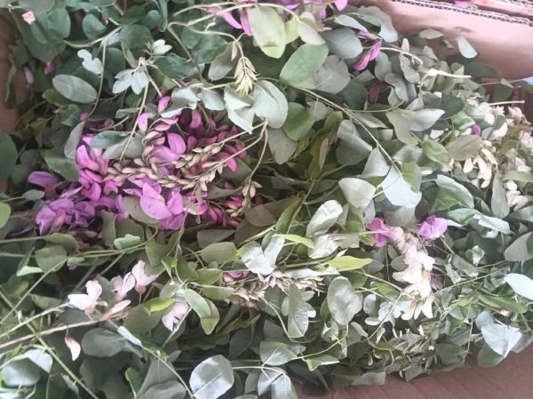 紫槐花怎么做好吃_紫槐花做法大全-第1张图片-山城妙识