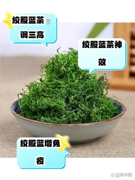 绞股蓝茶的功效与作用_绞股蓝茶怎么喝才健康-第1张图片-山城妙识