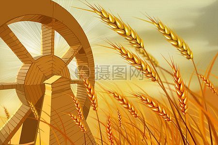 蚂蚁庄园麦田在哪_蚂蚁庄园麦田怎么玩-第3张图片-山城妙识