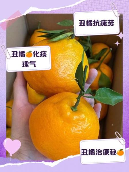 丑柑的功效与作用_丑柑上火还是降火-第2张图片-山城妙识