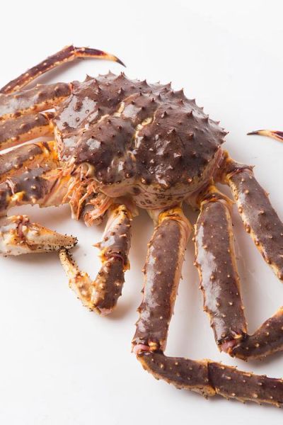 阿拉斯加帝王蟹多少钱一斤_2024最新行情-第2张图片-山城妙识 阿拉斯加帝王蟹多少钱一斤_2024最新行情-第2张图片-山城妙识