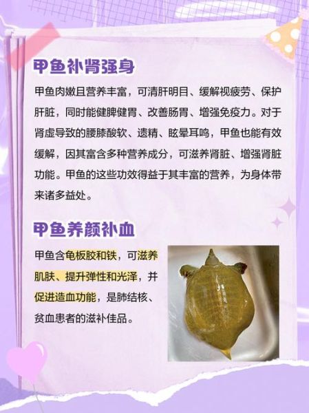 甲鱼的功效与禁忌_什么人不能吃甲鱼-第2张图片-山城妙识