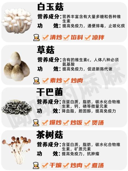 各种蘑菇图片大全_如何辨别可食用蘑菇-第1张图片-山城妙识 各种蘑菇图片大全_如何辨别可食用蘑菇-第1张图片-山城妙识