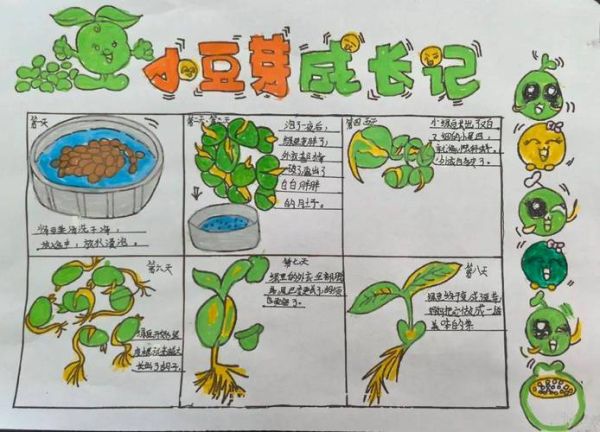 豆芽姐姐手工坊小米怎么做_小米手作教程-第3张图片-山城妙识