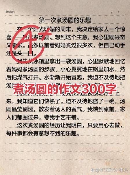 汤圆作文怎么写_汤圆作文写作技巧-第3张图片-山城妙识