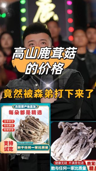 鲜鹿茸多少钱一克_鲜鹿茸价格怎么算-第3张图片-山城妙识 鲜鹿茸多少钱一克_鲜鹿茸价格怎么算-第3张图片-山城妙识