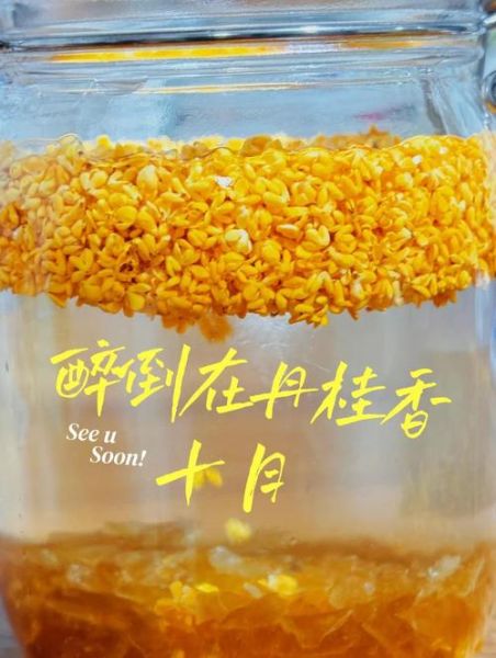 桂花酒怎么酿_桂花酒酿制方法步骤-第2张图片-山城妙识 桂花酒怎么酿_桂花酒酿制方法步骤-第2张图片-山城妙识