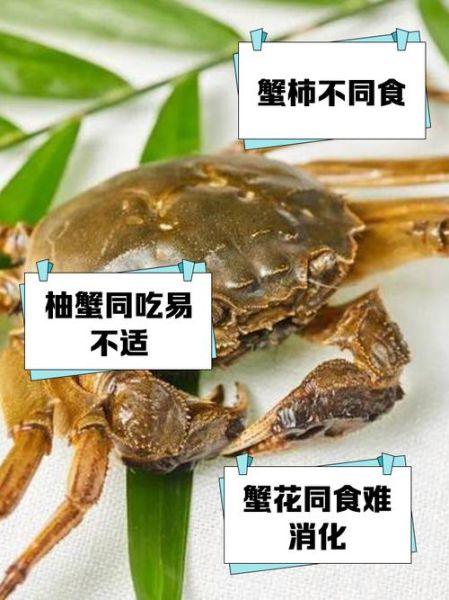 吃螃蟹不能吃什么_吃螃蟹禁忌哪些东西-第3张图片-山城妙识