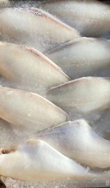 马面鱼和扒皮鱼的区别_哪个更好吃-第1张图片-山城妙识