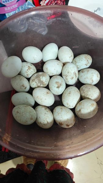 咸鸭蛋腌10天能吃吗_如何判断咸鸭蛋腌好了-第3张图片-山城妙识 咸鸭蛋腌10天能吃吗_如何判断咸鸭蛋腌好了-第3张图片-山城妙识