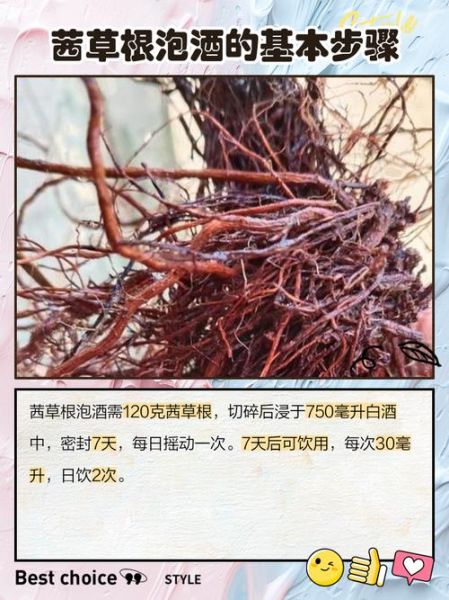 茜草的功效与作用禁忌_茜草泡水喝的正确方法-第2张图片-山城妙识 茜草的功效与作用禁忌_茜草泡水喝的正确方法-第2张图片-山城妙识