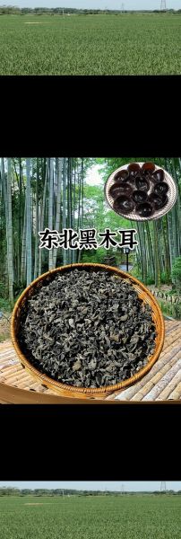 黑木耳是什么意思_黑木耳是什么梗-第3张图片-山城妙识 黑木耳是什么意思_黑木耳是什么梗-第3张图片-山城妙识