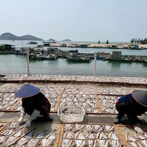 柴鱼花怎么保存_柴鱼片怎么做好吃-第3张图片-山城妙识