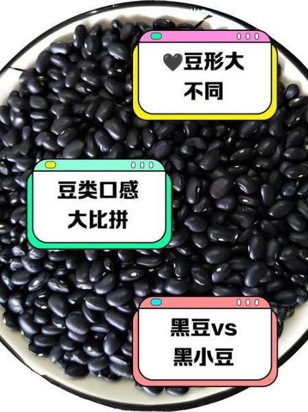 黑豆和黑芸豆的区别_哪个营养价值更高-第2张图片-山城妙识