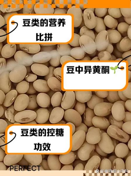 黑豆和黑芸豆的区别_哪个营养价值更高-第3张图片-山城妙识