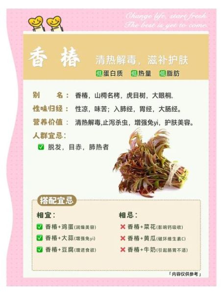 椿芽的功效与作用_椿芽怎么吃最养生-第1张图片-山城妙识