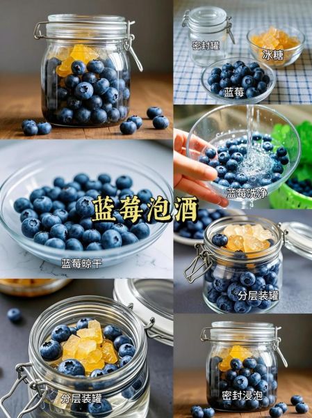 蓝莓酒怎么酿_蓝莓酒酿制方法-第1张图片-山城妙识