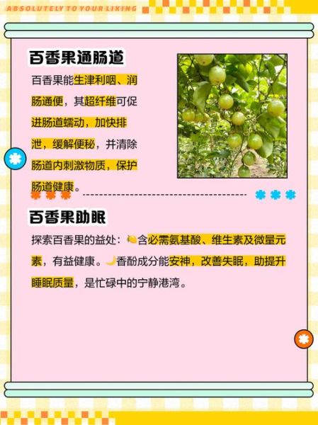 百香果有什么功效与作用_百香果怎么吃效果最好-第1张图片-山城妙识 百香果有什么功效与作用_百香果怎么吃效果最好-第1张图片-山城妙识