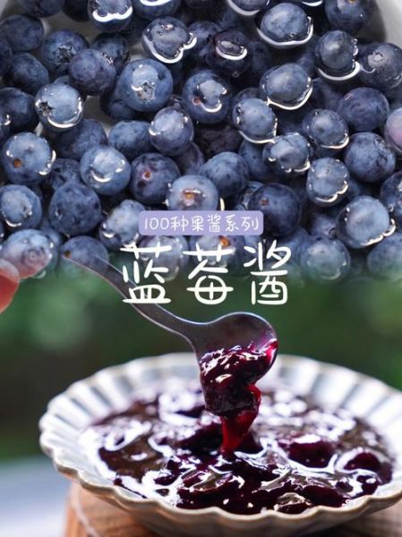 蓝莓酱熬多长时间_蓝莓酱怎么熬才浓稠-第1张图片-山城妙识