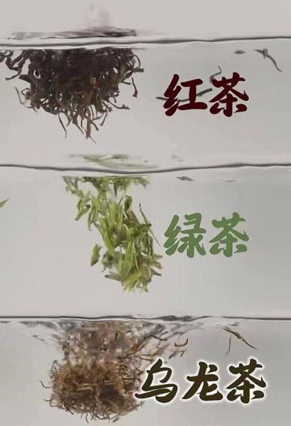 绿茶和红茶的区别_六大茶类有哪些-第2张图片-山城妙识
