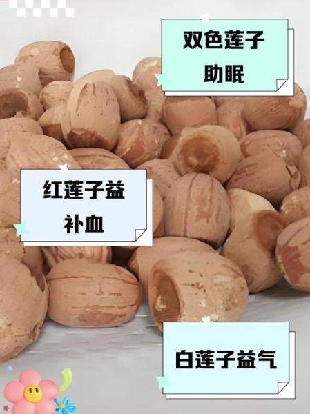 白莲子和红莲子的区别_哪个更适合养生-第3张图片-山城妙识