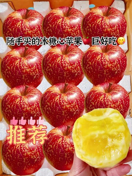 冰糖心苹果和普通苹果有什么区别_哪个更好吃-第3张图片-山城妙识 冰糖心苹果和普通苹果有什么区别_哪个更好吃-第3张图片-山城妙识