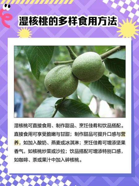 湿核桃的功效与作用_湿核桃怎么吃最好-第1张图片-山城妙识