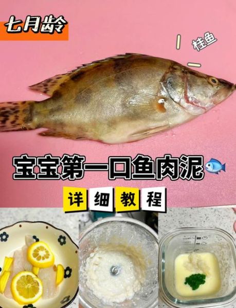 野生桂鱼图片_如何分辨真假-第1张图片-山城妙识 野生桂鱼图片_如何分辨真假-第1张图片-山城妙识