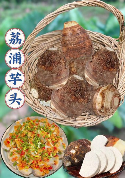 荔浦芋头几月份成熟上市_最佳采摘时间-第1张图片-山城妙识