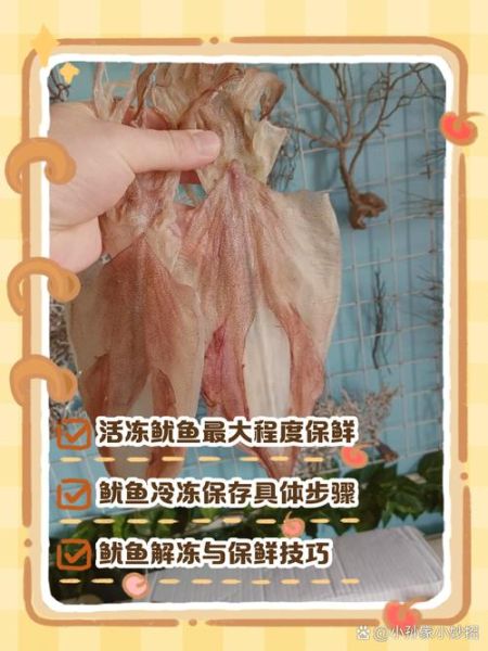 新鲜鱿鱼怎么处理_冷冻保存技巧-第1张图片-山城妙识