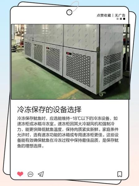 新鲜鱿鱼怎么处理_冷冻保存技巧-第2张图片-山城妙识