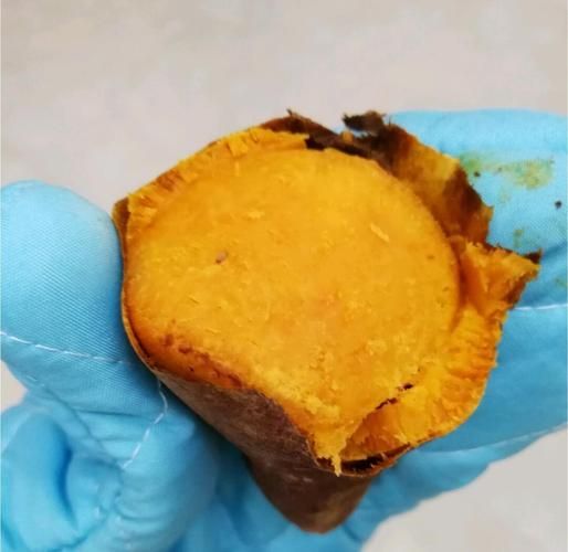 烤箱烤红薯需要用锡纸包起来吗_烤红薯要不要包锡纸-第3张图片-山城妙识 烤箱烤红薯需要用锡纸包起来吗_烤红薯要不要包锡纸-第3张图片-山城妙识