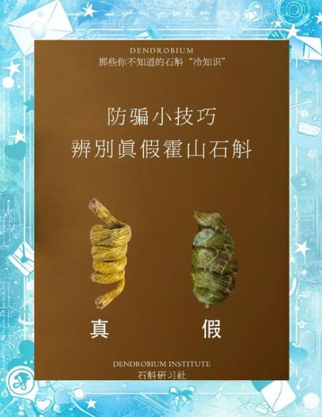 野生石斛图片大全大图_如何辨别真假野生石斛-第2张图片-山城妙识