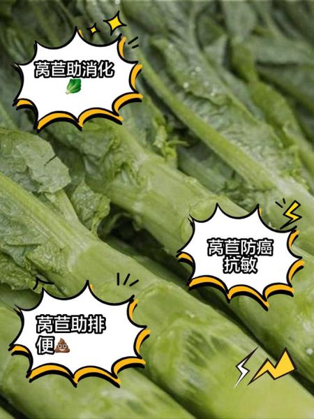 莴苣叶有毒吗_莴苣叶能吃吗-第3张图片-山城妙识 莴苣叶有毒吗_莴苣叶能吃吗-第3张图片-山城妙识