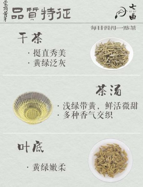 蒙顶黄芽属于什么茶_蒙顶黄芽怎么泡才正确-第1张图片-山城妙识