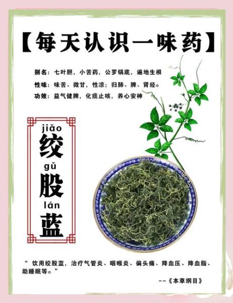 绞股蓝的副作用和禁忌_哪些人不能喝-第3张图片-山城妙识