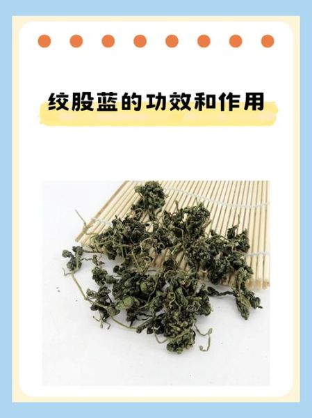 绞股蓝的副作用和禁忌_哪些人不能喝-第2张图片-山城妙识